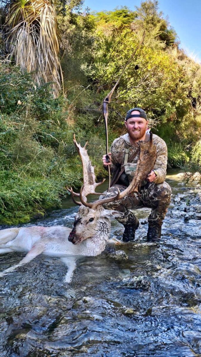 Getting Fallow Bucks Rattled Up! - Glen Dene Hunting & Fishing New Zealand